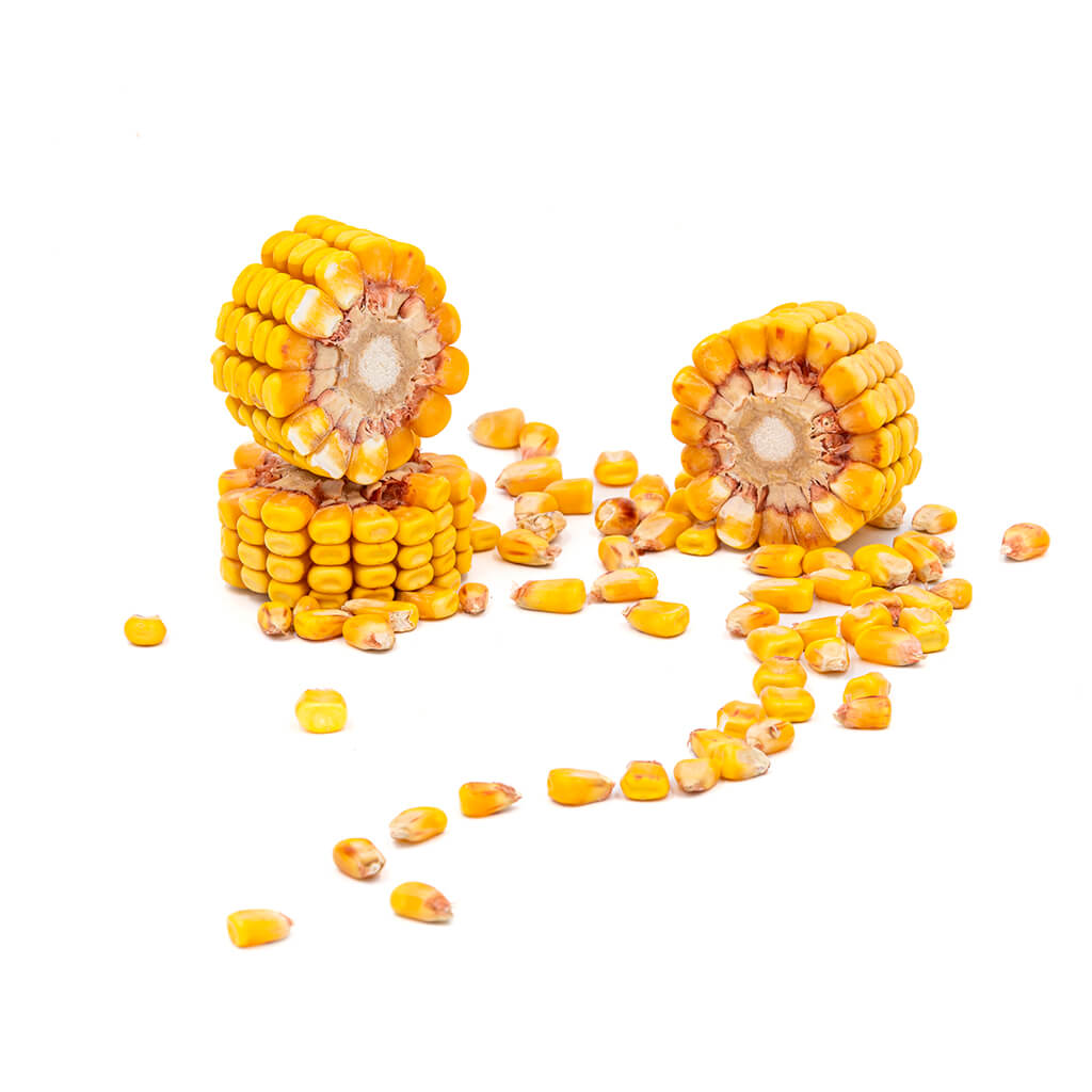 Ferme des petits Maxiel - Plus de 10 ans d'histoire dans le domaine ...